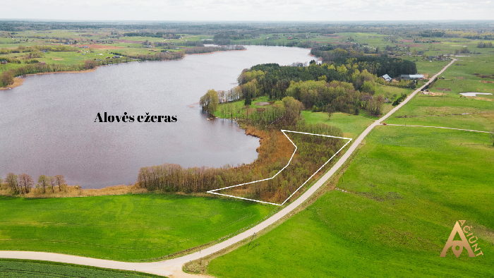 35 a. sklypas prie Alovės ežero (Alytaus r.) :: aciunt
